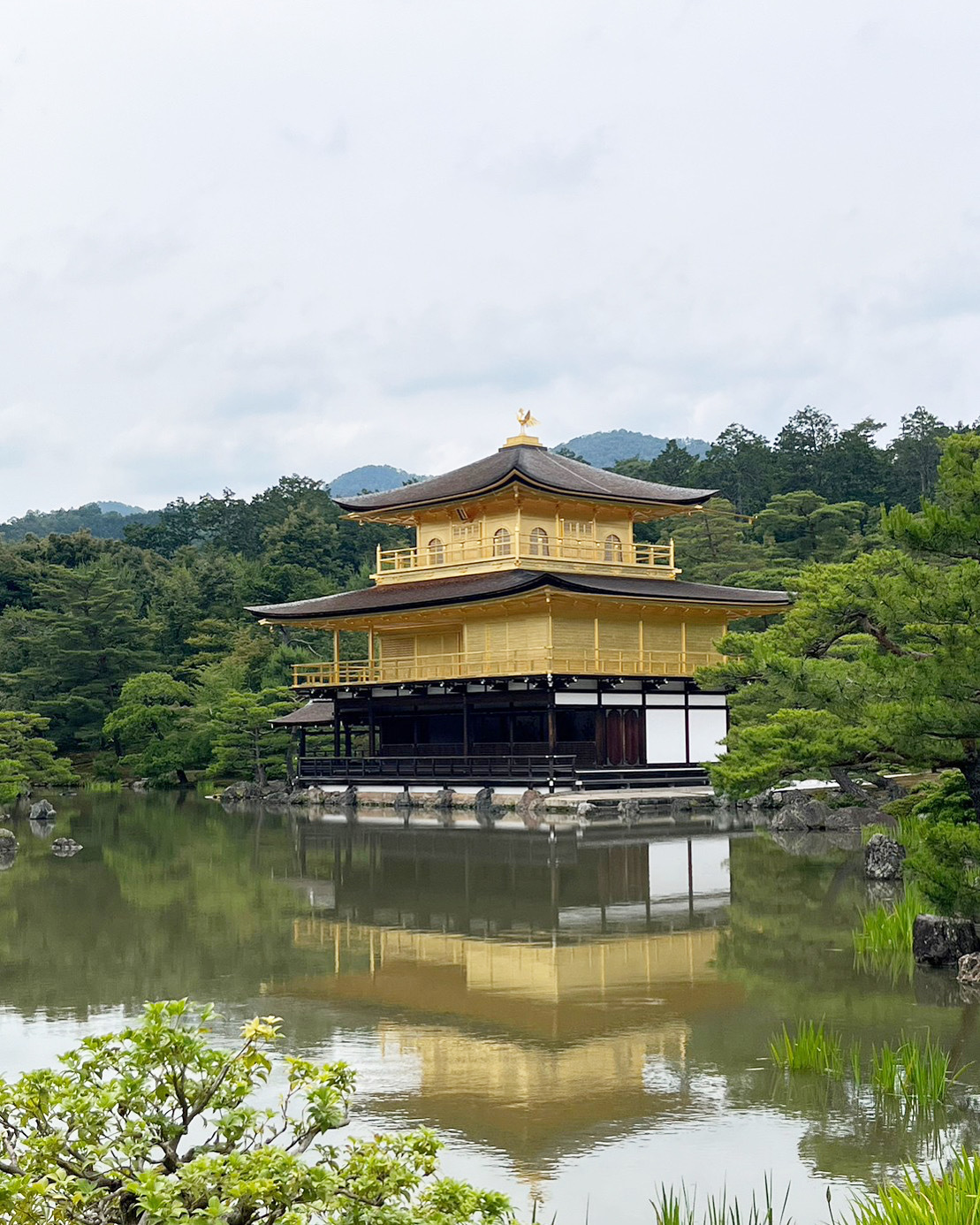 吉(kiti)さん | 女性のための大腸がん・消化器がん相談コミュニティ｜ピアリング・ブルー